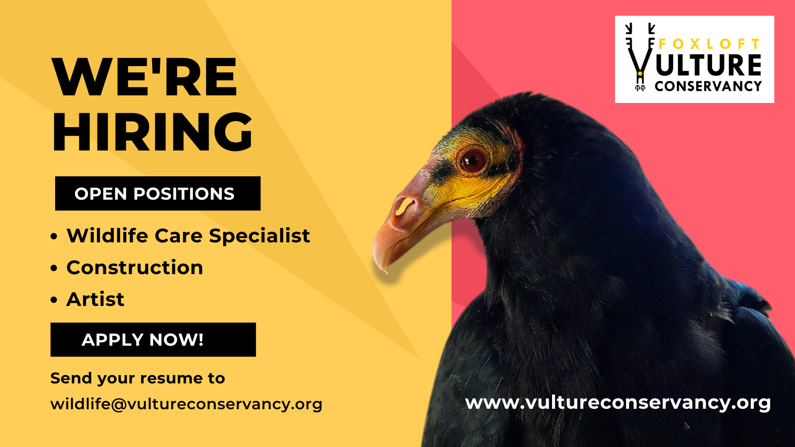 Wildlife Careers at Foxloft Conservancy | Vulture Conservancy